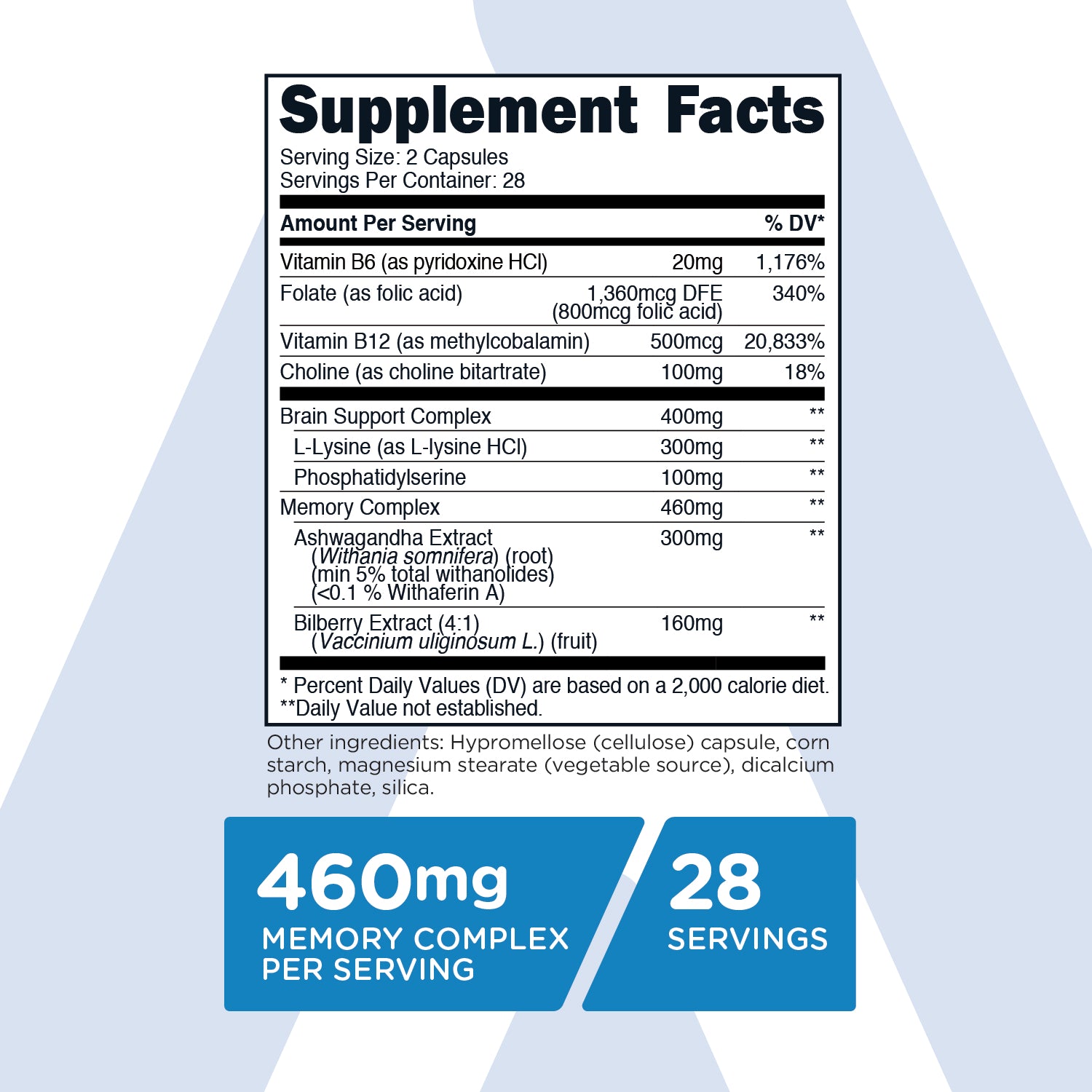 Longevity Brain Support - TransformHQ