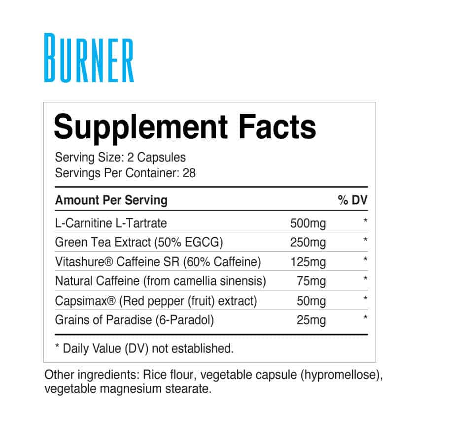 Everyday Burner - TransformHQ